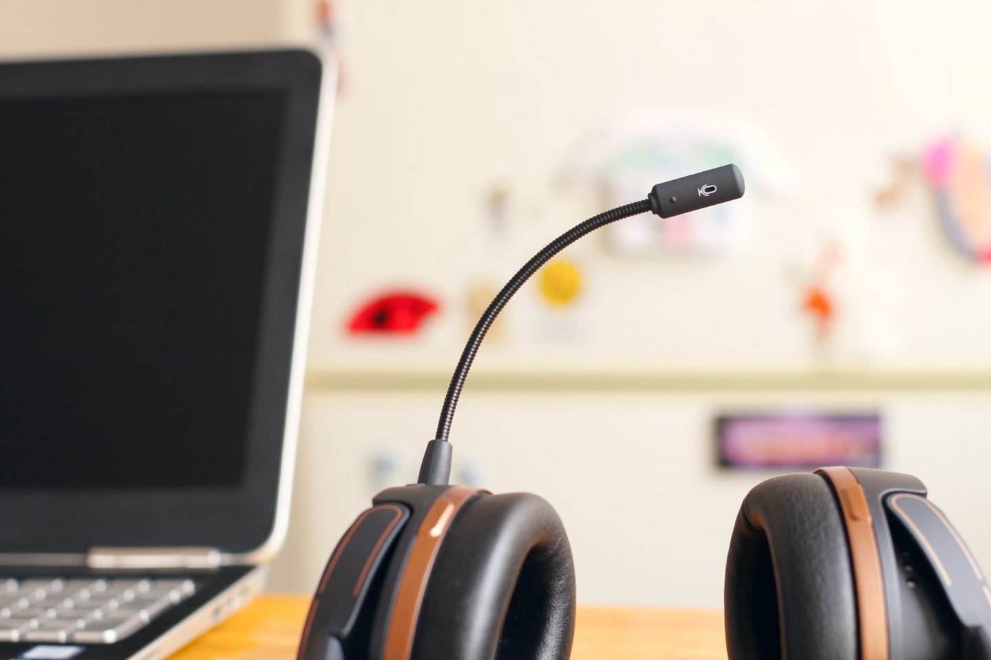 Customer service & support | Koho PSA